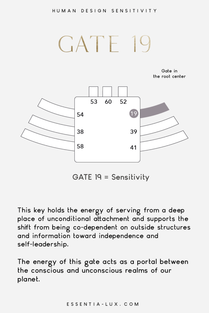 Human Design Gate 19 | Gene Key 19 | Soulful Business and Web Design