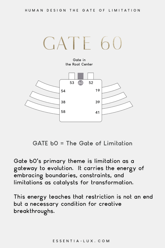 Human Design Gate 60 | Gene Key 60 | Soulful Business and Web Design